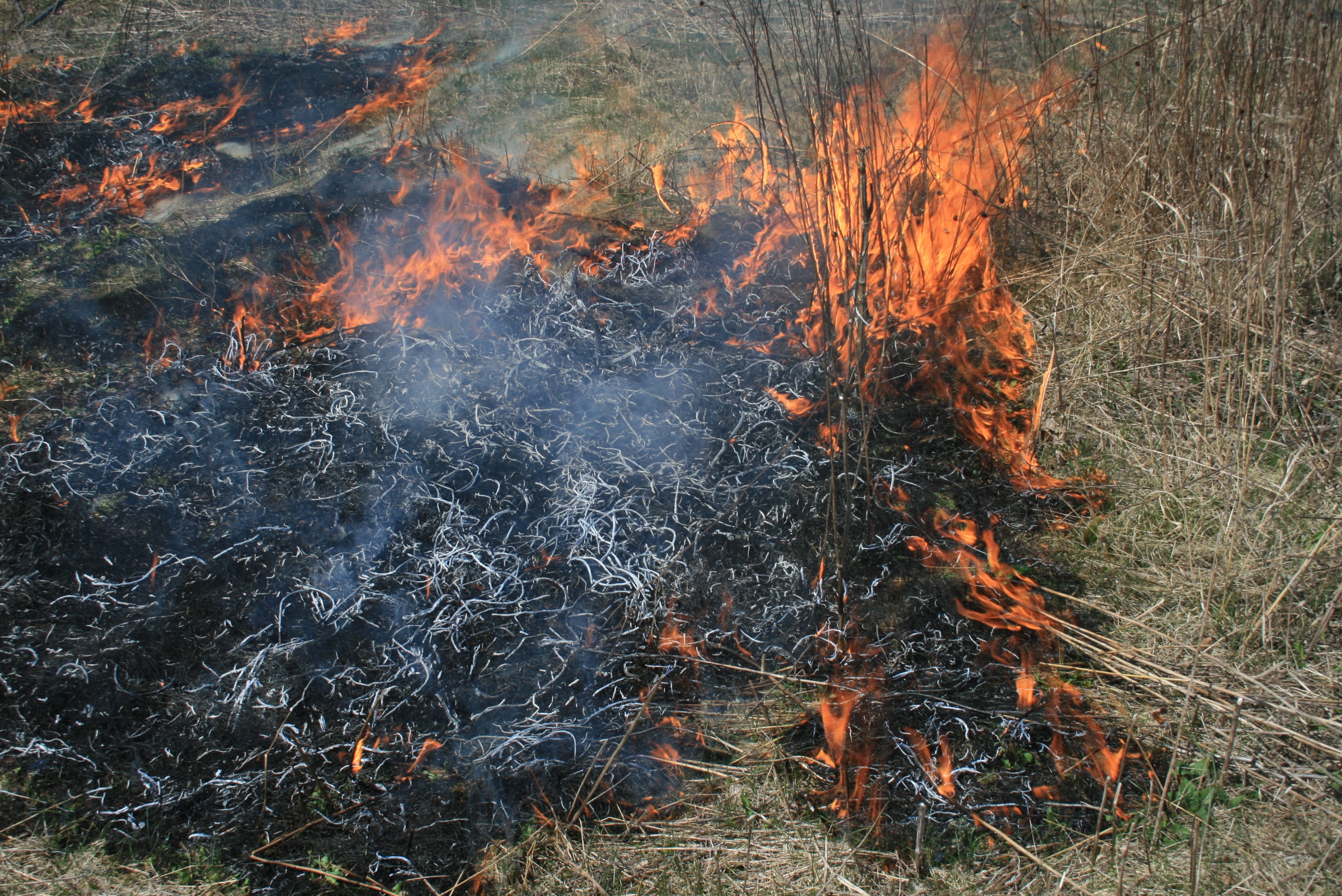 Prairie Burning Begins – Catholic Ecology Center Blog