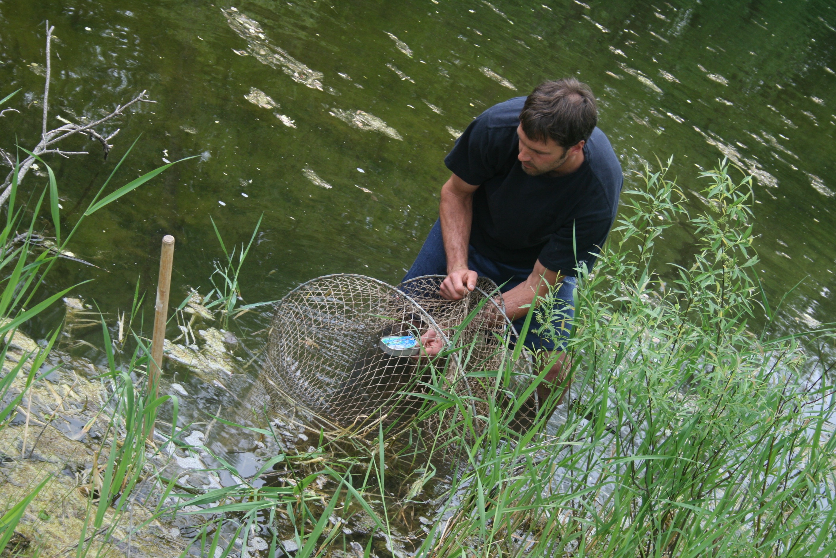 Turtle Monitoring – Catholic Ecology Center Blog