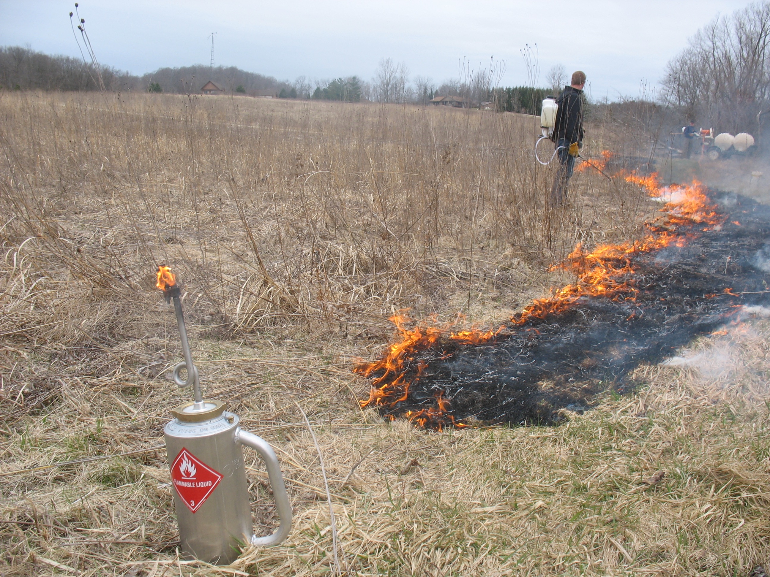 Prairie Burning – Catholic Ecology Center Blog