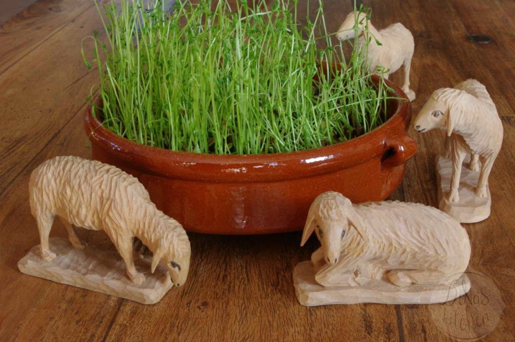 St. Barbara’s Day Wheat, December 4th – Catholic Ecology Center Blog