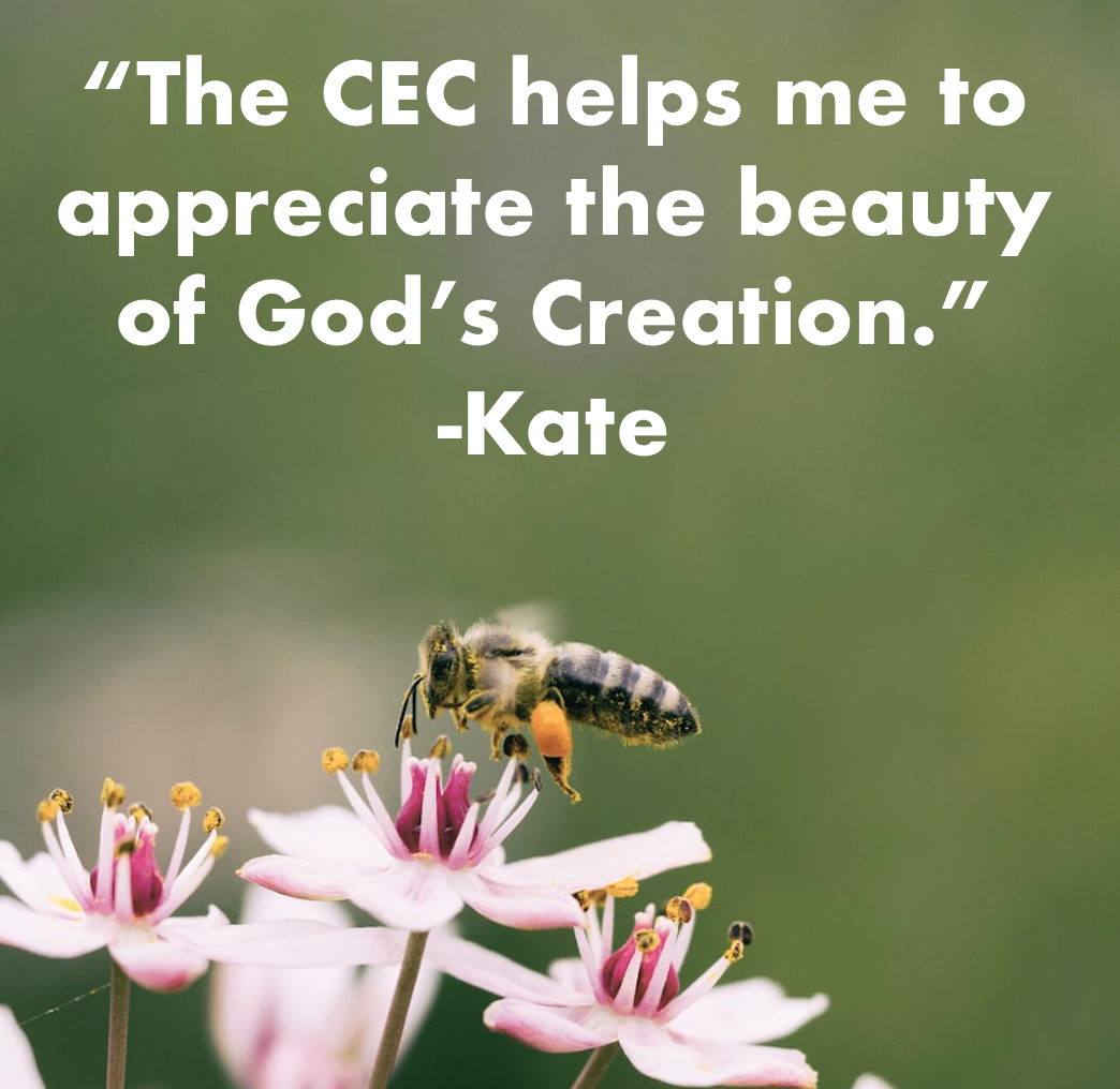 The CEC Turns 1 Year Old! – Catholic Ecology Center Blog